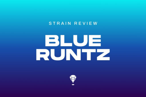 Blue Runtz Strain Complete Review | Melee Dose