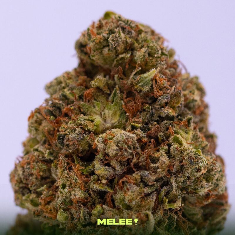 Pave Strain aka Pavé Weed Review + Best THCa Flower